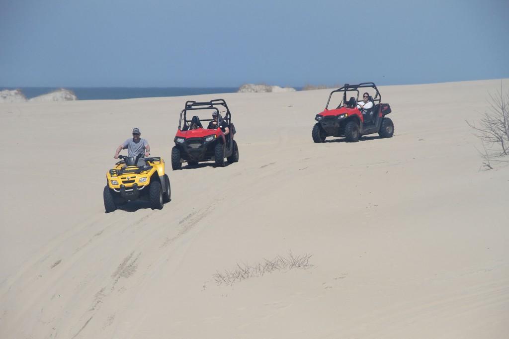 Corolla Horse Tours, Wild Horse Adventure Tours in Corolla, OBX