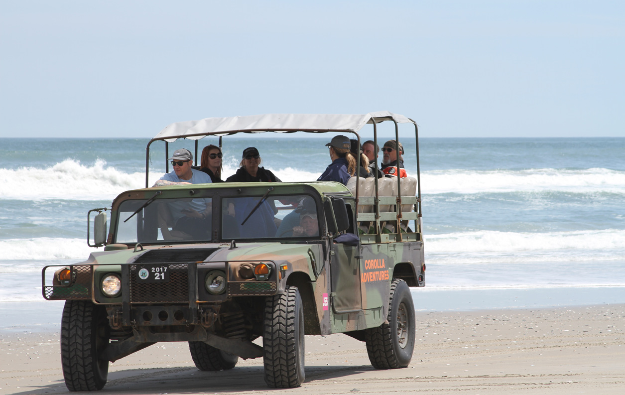 Corolla Horse Tours, Wild Horse Adventure Tours in Corolla, OBX